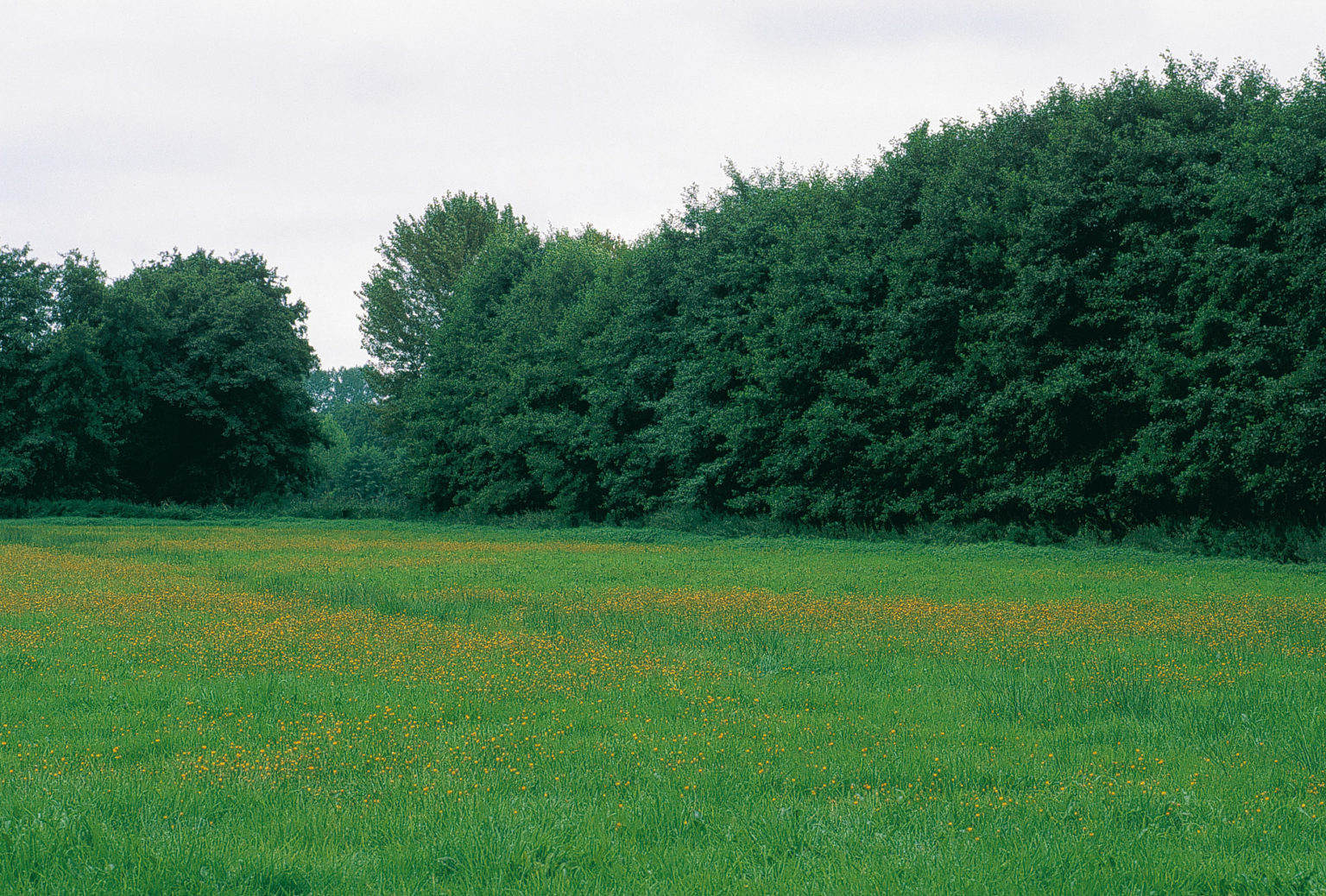 Het Aaltense Goor | Icoonlandschappen