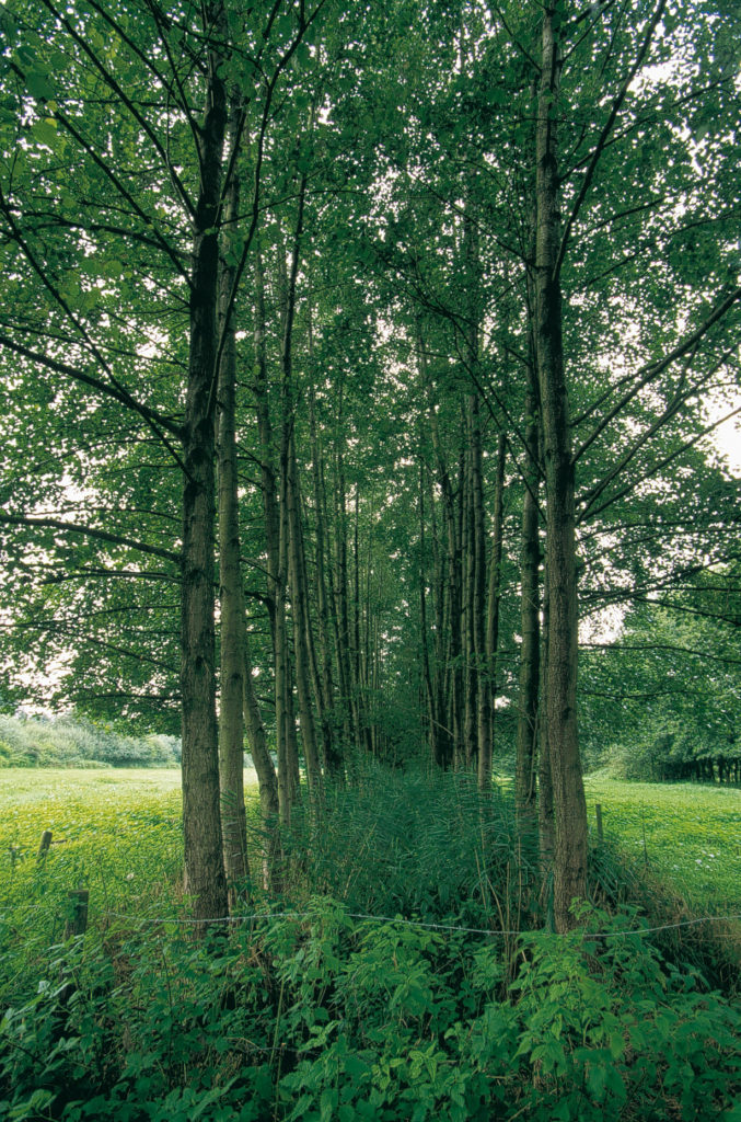 Het Aaltense Goor | Icoonlandschappen