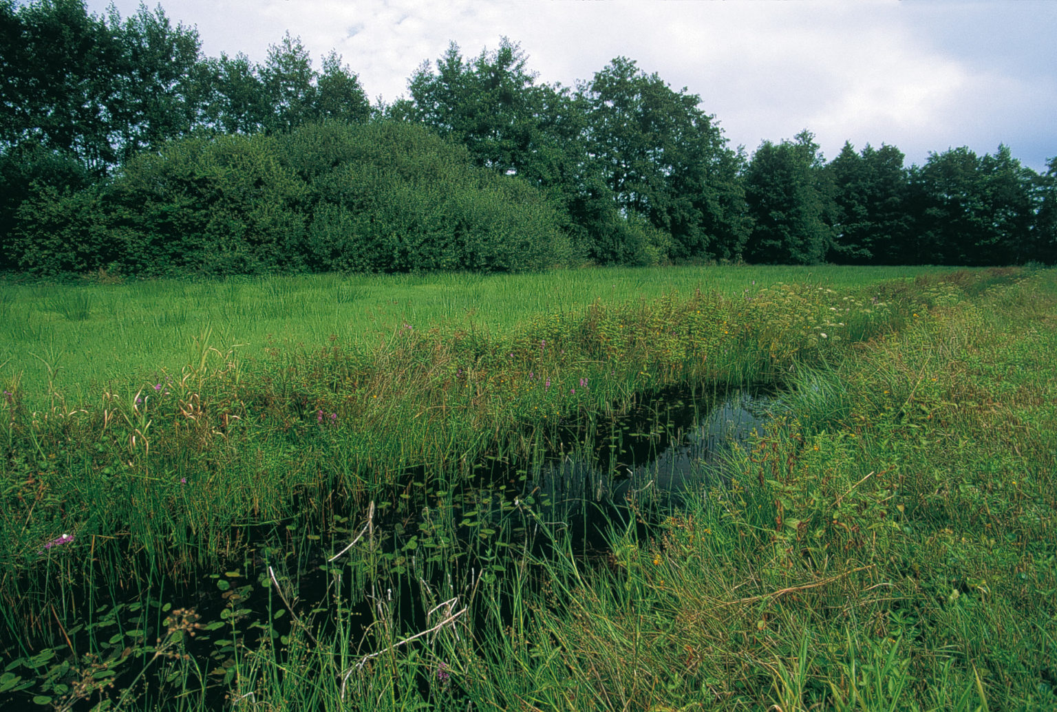 Het Aaltense Goor | Icoonlandschappen